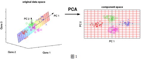 Python机器学习笔记：主成分分析（pca）算法 战争热诚 博客园