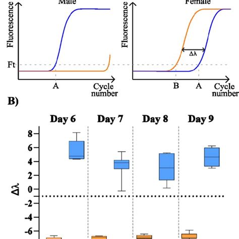 A Theoretical Representations Of Qpcr Amplification Curves For Hintw Download Scientific