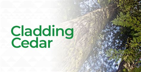 Page 2 Western Red Cedar Cladding Top Quality Southern Timber
