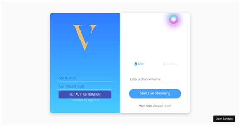 Agora Web App Sample Codesandbox