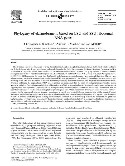 Phylogeny Of Elasmobranchs Based On Lsu And Ssu Ribosomal