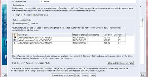 ASM yeni disk grup ekleme ve Datafile taşıma ASM add new disk group