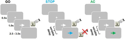 Stop Signal Task With Ac Trials Participants Were Instructed To Press