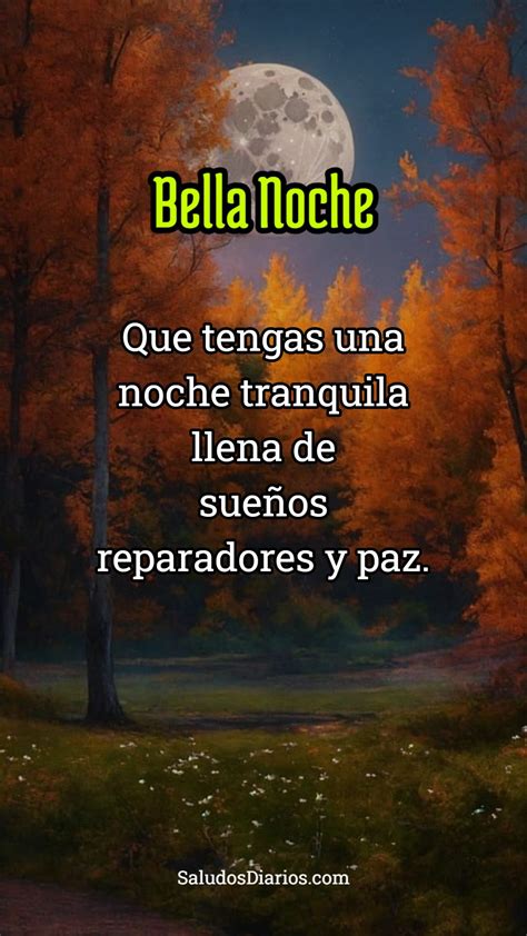 Bosque Bello Luna Noche Linda Dedicar Frase Saludos Diarios