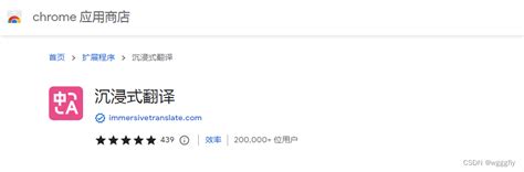 让“沉浸式翻译”支持openai接口翻译，手把手保姆级教程，chatgpt的接口 openai 翻译教程 csdn博客