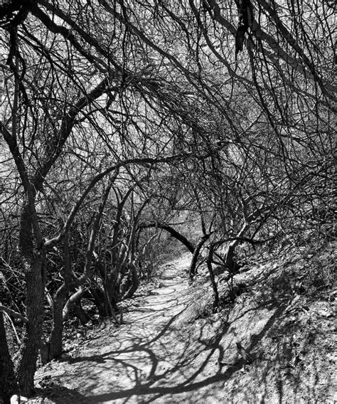 Aesop Rock None Shall Pass Rroomofrequirement