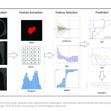 Radiomic Feature Selection Based On Lasso Algorithm And Rad Score Download Scientific Diagram