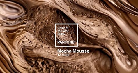 2025 팬톤 올해의 컬러 모카 무스 Simple P