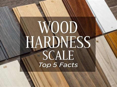 Wood Hardness Scale Top 5 Facts For 2026