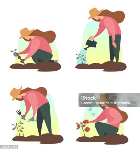 여자는 땅에 식물을 씨앗 사람들 여름 원예 정원 일을하는 사람들의 벡터 플랫 만화 일러스트 세트 급수 심기 재배 및 트랜이식 콩나물 작물 수확 씨앗 가공의 인물에 대한 스톡