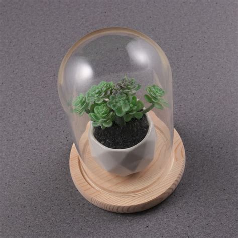 Badu Bg Капак със стъклен купол Камбанка Cloche Витрина с цветя Прозрачни куполи за свещи Масата