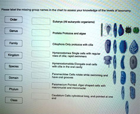 solved please label the missing group names in the chart to assess