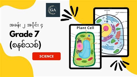 Grade 7 စနစ်သစ် သိပ္ပံ အခန်း ၂ အပိုင်း ၄ Youtube