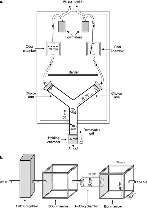 —olfactometers Used For A Choice Testing View Of Odor Source