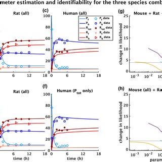 Interspecies Scaling And Identifiability Based On Mouse Rat And Human Download Scientific