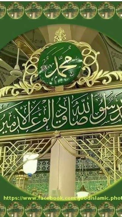 انت نور الله فجرا Youtube