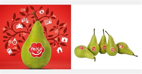 De Migo® Peer Is Weer Terug