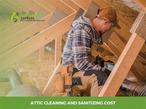 The Ultimate Guide To Attic Cleaning And Sanitizing A Step By Step