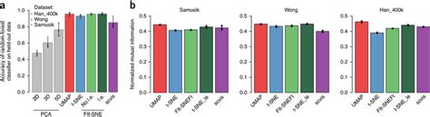 Analysis Of Local Data Structure In Embeddings Produced By Each