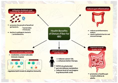 Health Benefits Of A High Fiber Diet For Management Of Inflammatory