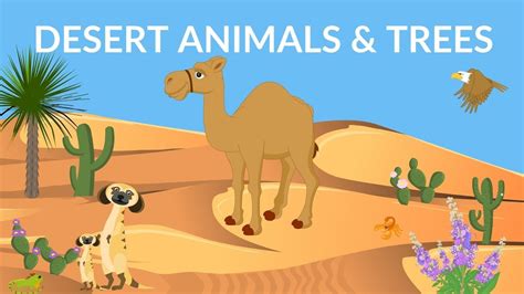 Animais De Habitats Deserticos