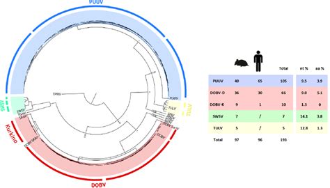 Tree Representing Bayesian Phylogenetic Analysis Of L Segment 235 Bp
