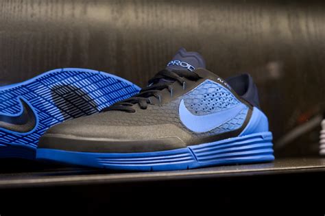 Nike Sb P Rod 8 Shoe Party