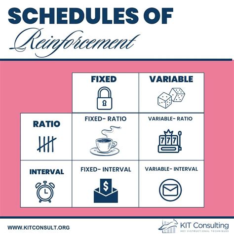 Understanding Schedules Of Reinforcement 📊 Are You Curious About How Different Schedules Can