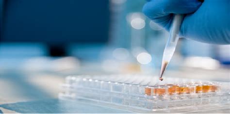 Mlops In Healthcare Major Use Cases Of Mlops In Healthcare