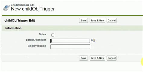 Create Visualforce Page To Retrieve Data From Multiple Custom Objects