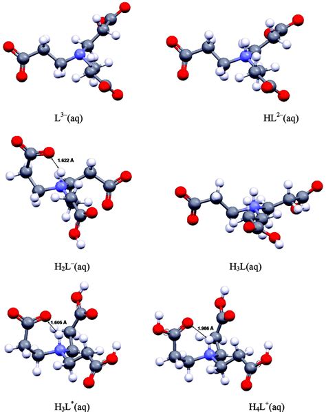 Structures Of All Protonated Forms Of The Ntpa Ligand Fully Optimized