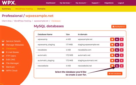 How To Clone A Wordpress Site With The Duplicator Plugin Wpx Blog