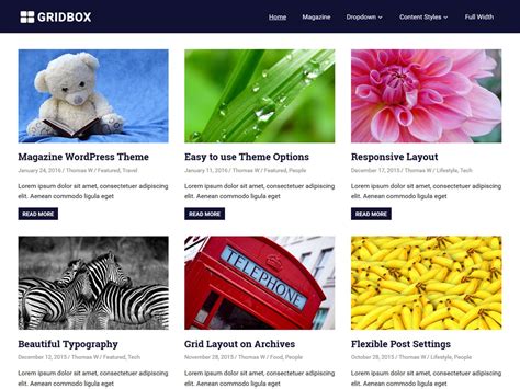 gridbox wordpress theme themezee