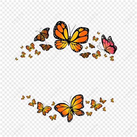라운드 나비 일러스트 황제 봄 오렌지 일주 꽃들 Png 일러스트 무료 다운로드 Lovepik