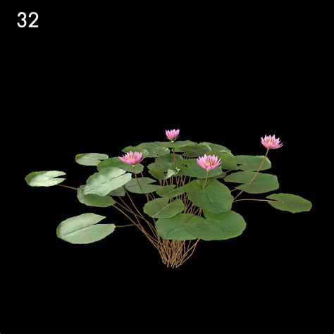 Nymphaea Orchid Proxy Model Proxy Dnd
