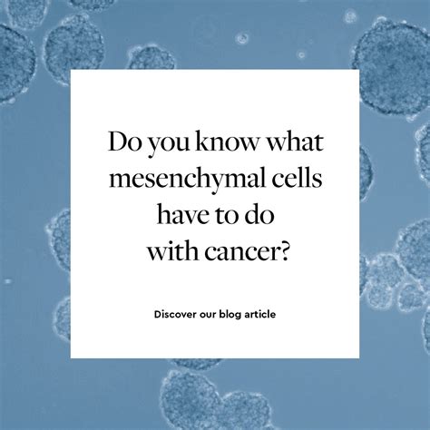 Promocell On Linkedin Cancerresearch Stemcells