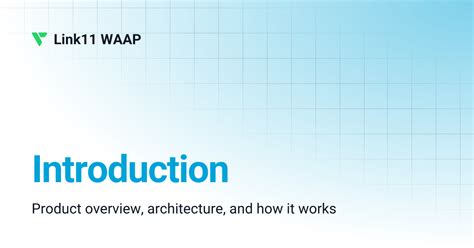 introduction link11 waap