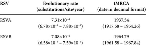 Evolutionary Rates And Times Of Divergence For Rsva And Rsvb Values In