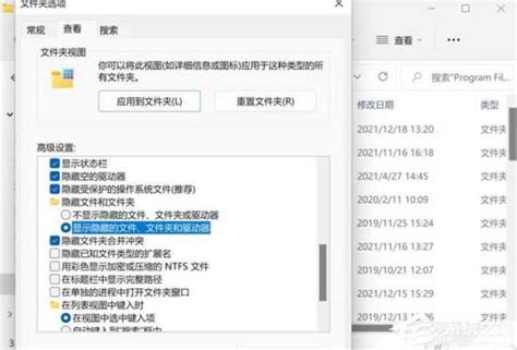 Win11设置文件夹默认显示图片？如何调整显示方式？ 4425教程网