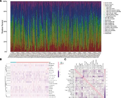 Figure 1 From Immune Microenvironment And Clinical Feature Analyses Based On A Prognostic Model