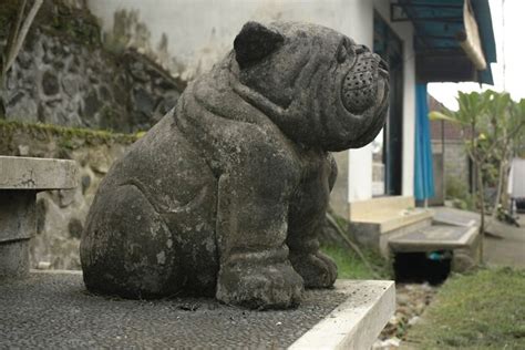 96000 Hachiko Statue Pictures