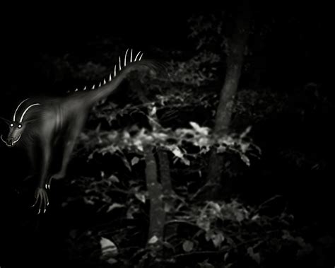 Lost Tapes Devil Monkey Have You Seen The Devil Monkey Of New