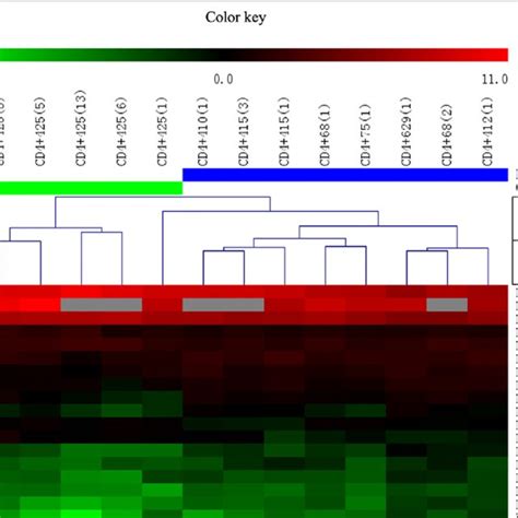 Heatmap And Hierarchical Clustering For Different Mirnas In The Exp Download Scientific Diagram