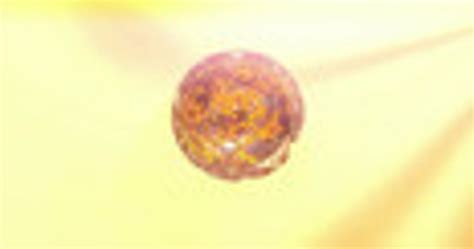 Binary Trigger İndir