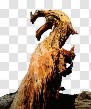 Tree Stump Axe Clip Art Trunk With Clipart Image Transparent PNG