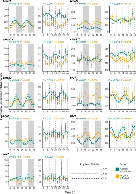 Mean Expression 1 S E Of Core Clock Genes Of Uninfected Cyan And