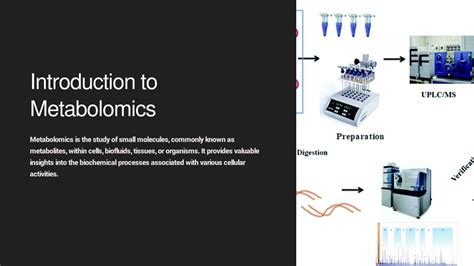 Ppt What Are The 3 Techniques Used In Metabolomics Powerpoint Presentation Id 12877043