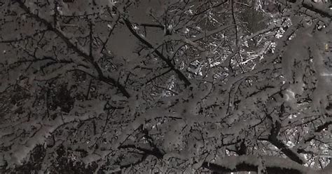 Need Points To Message Ss About An Issue So Here Is A Picture Of Trees Where I Work Album On Imgur