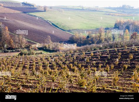 Field In A Landscape Stock Photo Alamy