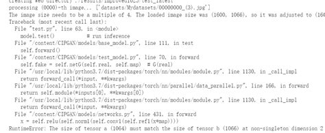 关于测试的问题 · issue 3 · wenretium cipgan · github